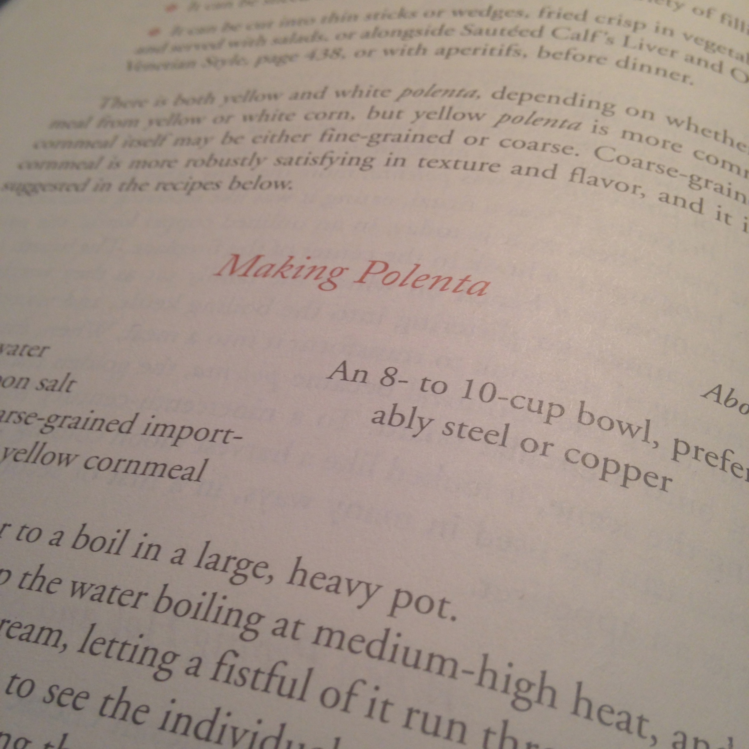 The Philosophy of Polenta as I Whisk with Napoléon, Rousseau, Sebald ...